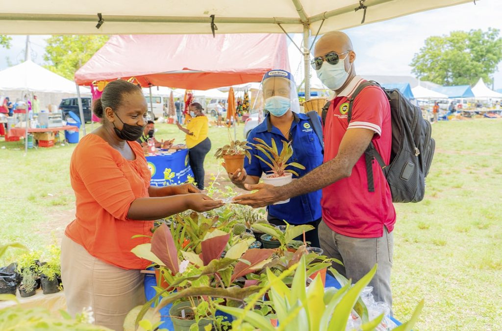 About Us – Social Development Commission Jamaica