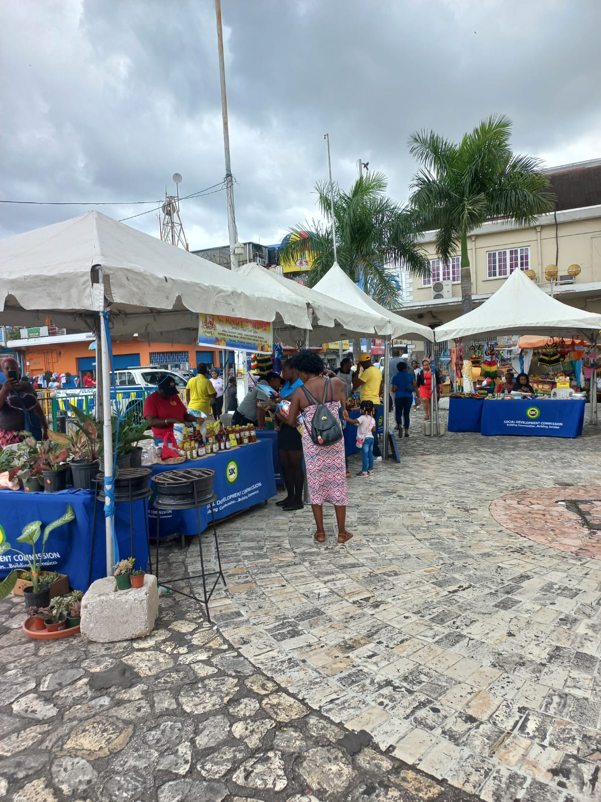 SDC’s Economic Village Initiative Boosts Local Economies in Jamaica ...